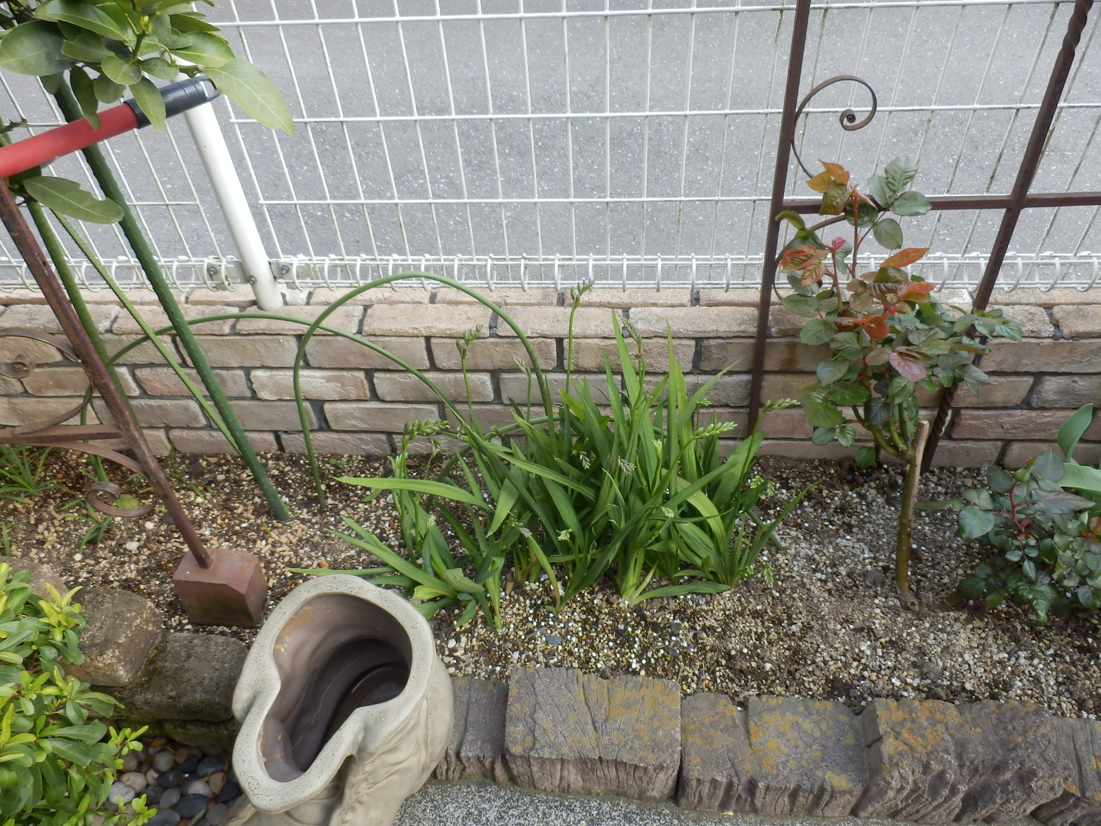 OLYMPUS DIGITAL CAMERA | misagoのページ