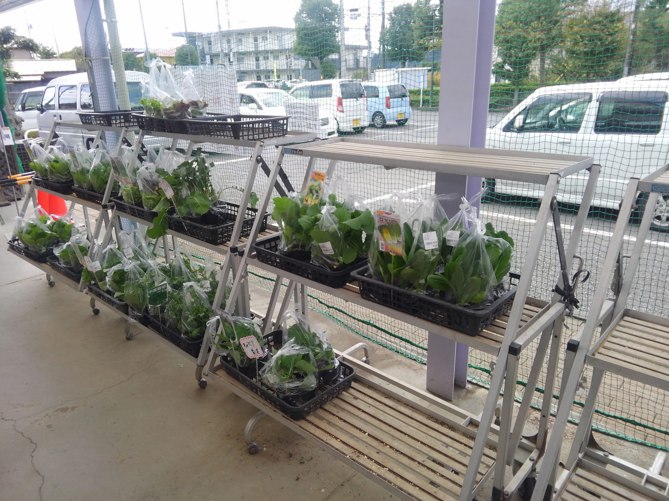 KIMG1406 | misagoのページ