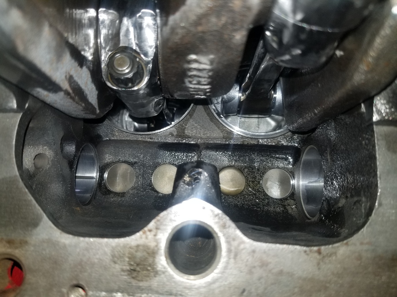 20220520_175623 | misagoのページ