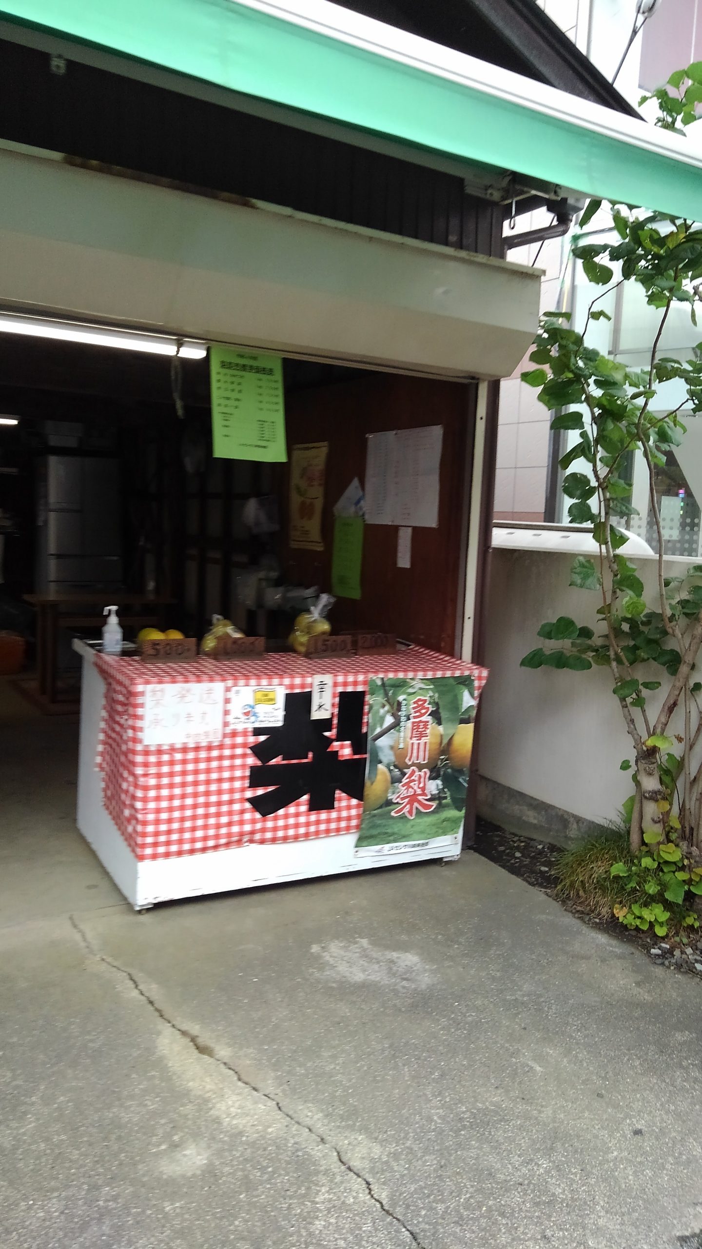 KIMG2726 | misagoのページ